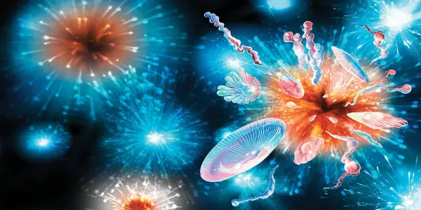 Evidence Suggests Complex Life May Have Emerged Multiple Times i…